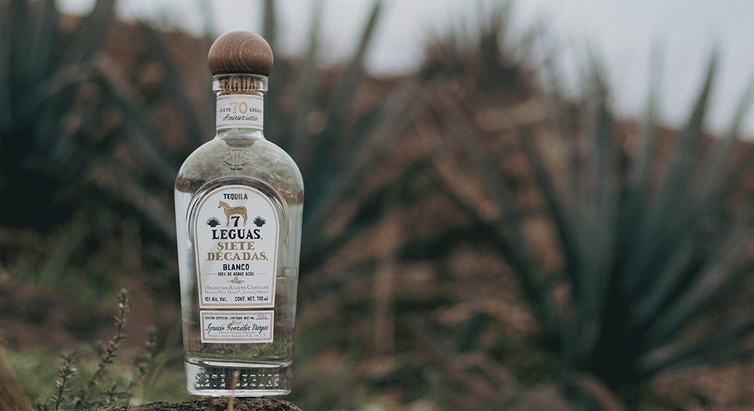 Guía Esquire: 3 consejos para tomar tequila como un experto | Esquire